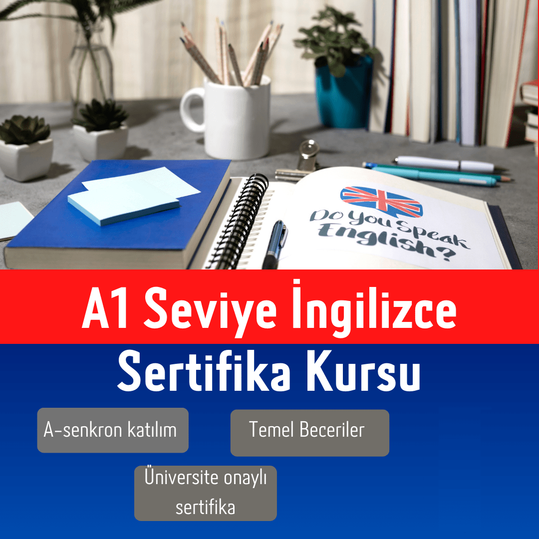 İngilizce A1 Seviye Eğitimi Sertifika Kursu - Perficus Akademi